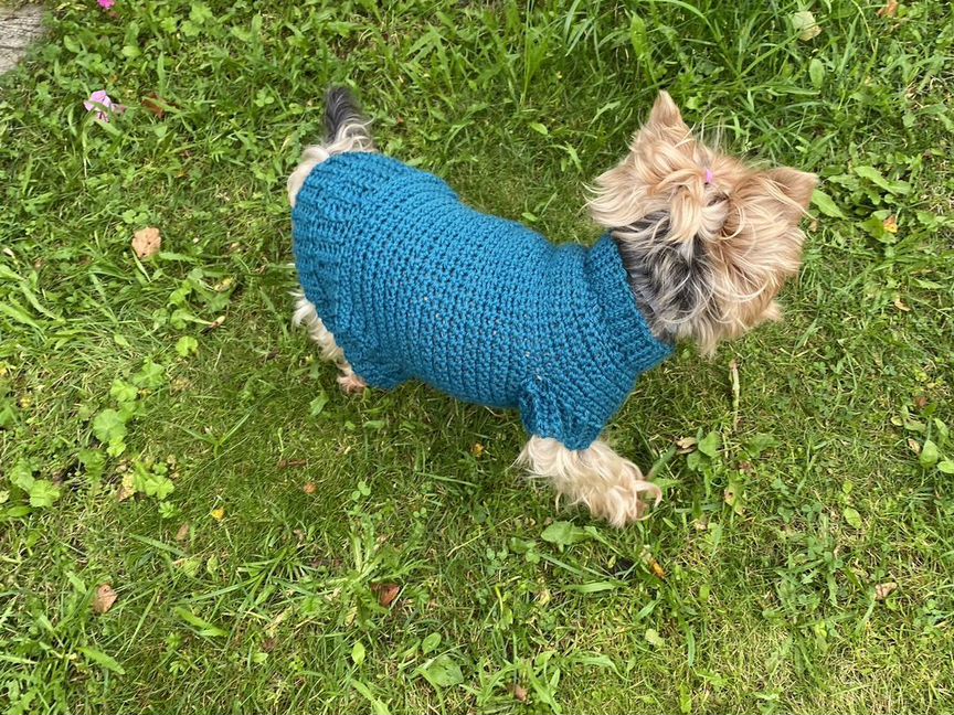 Вязаный свитерок для собак