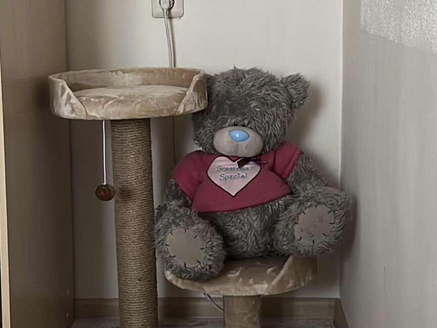 Когтеточка - лежанка