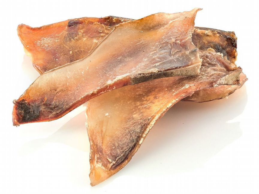 Хрящ лопаточный