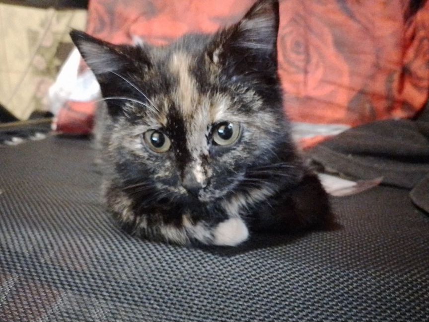 Счастье для ценителя