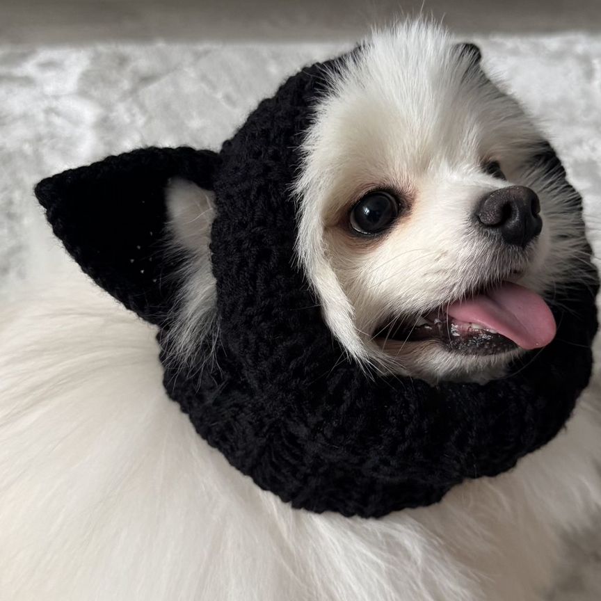 Вязанная шапка для собак