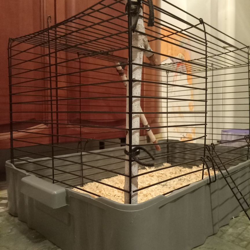 Клетка для грызунов большая