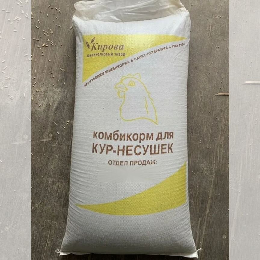 Корм для кур несушек