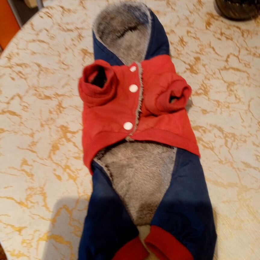 Костюмчик для собачки