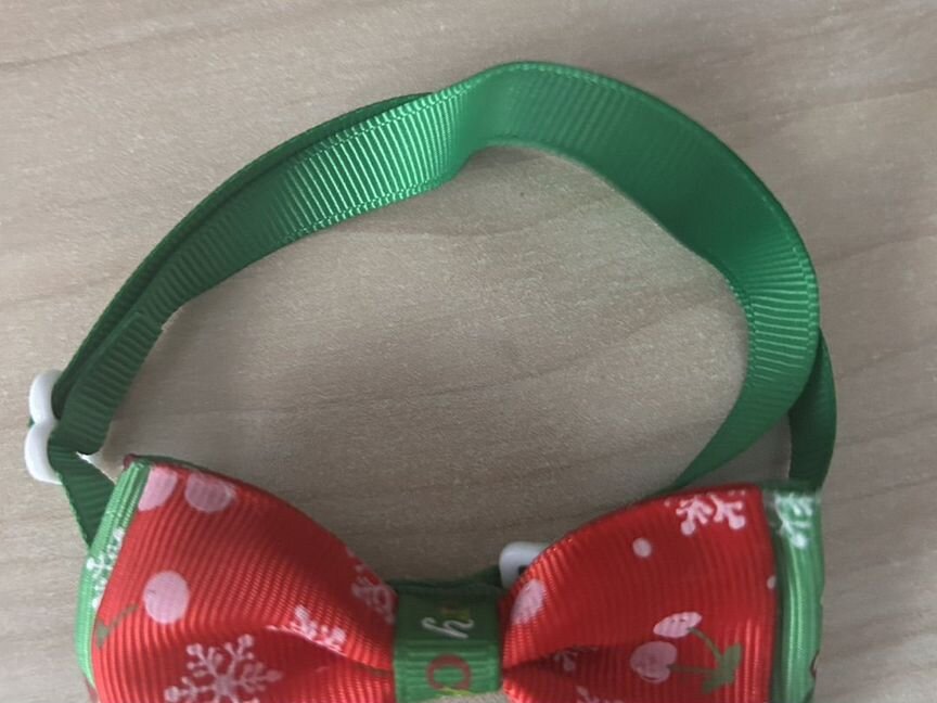 Бабочка для кота