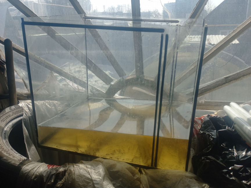 Аквариум с отделением для мальков