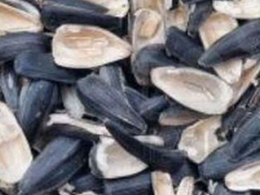 Шелуха жмых зерноотходы