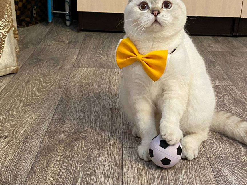 Жду невесту