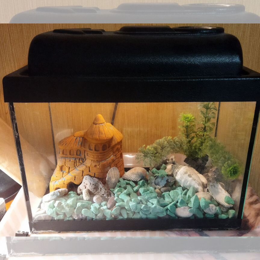 Аквариум.в сборе. Фильтр