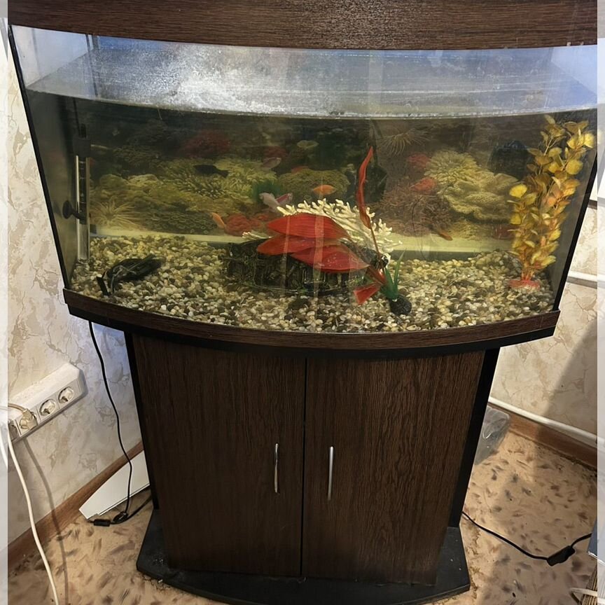Аквариум с тумбой и рыбами