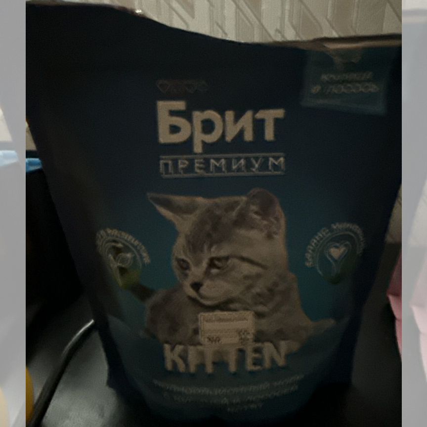 Корм для кошек