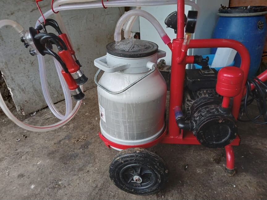 Доильный апарат