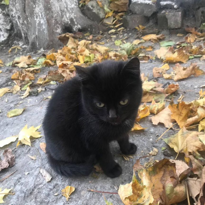 Замерзает на улице девочка нужен дом