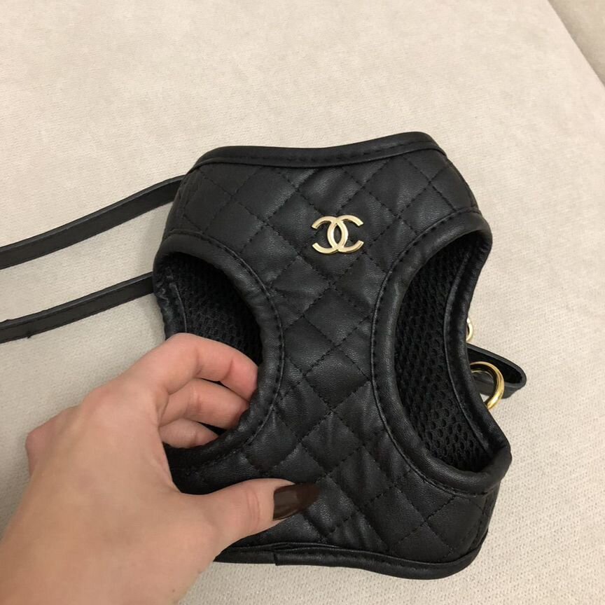 Шлейка с поводком для собак и кошек chanel