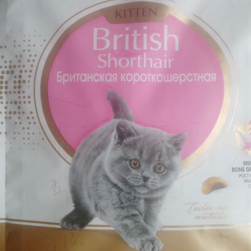 Корм для кошек royal canin