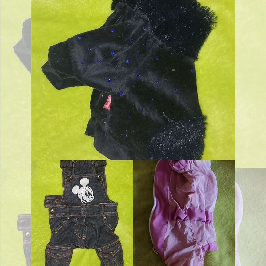 Вещи для йорка