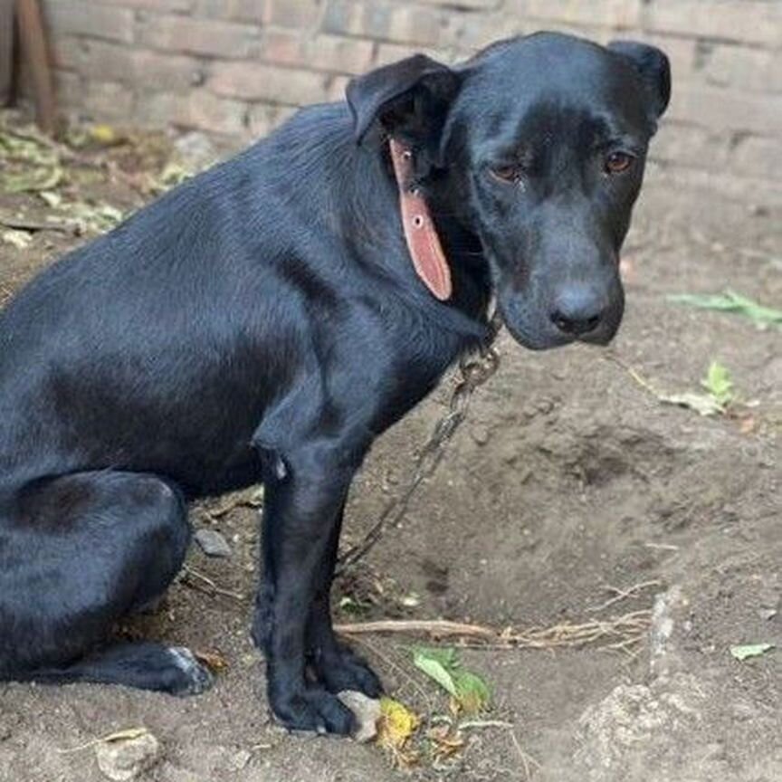 Что с ним будет. Осталось совсем мало время