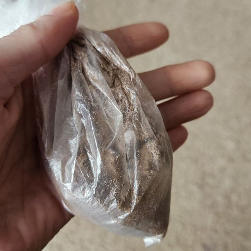 Цисты артемии 12 грамм