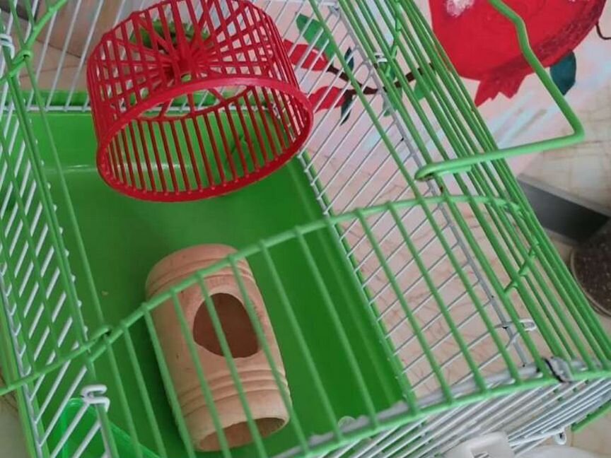 Клетка для джунгарика