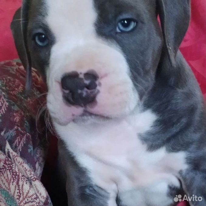 Супер парень