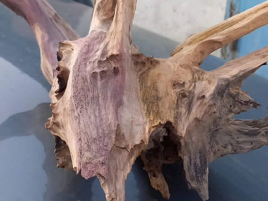 Коряга для аквариума