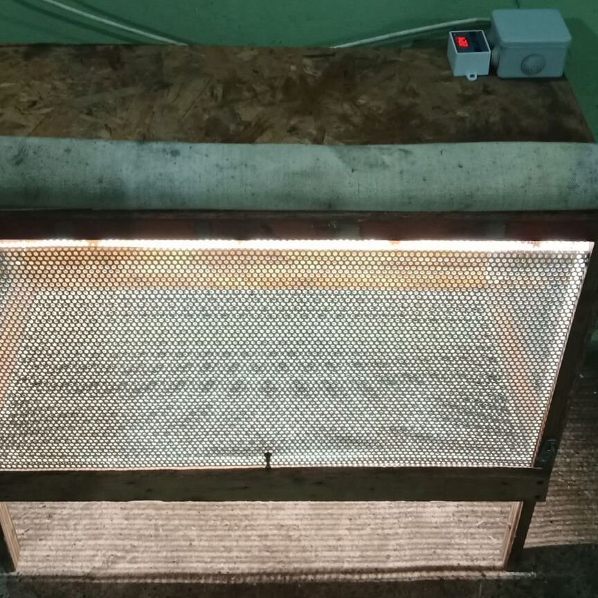 Брудер для цыплят