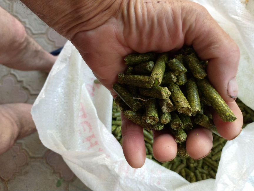 Люцерна в гранулах