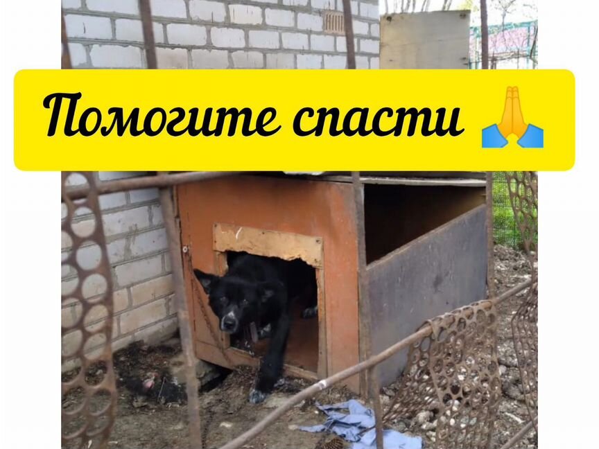 Помогите спасти 2 недели на поиск дома