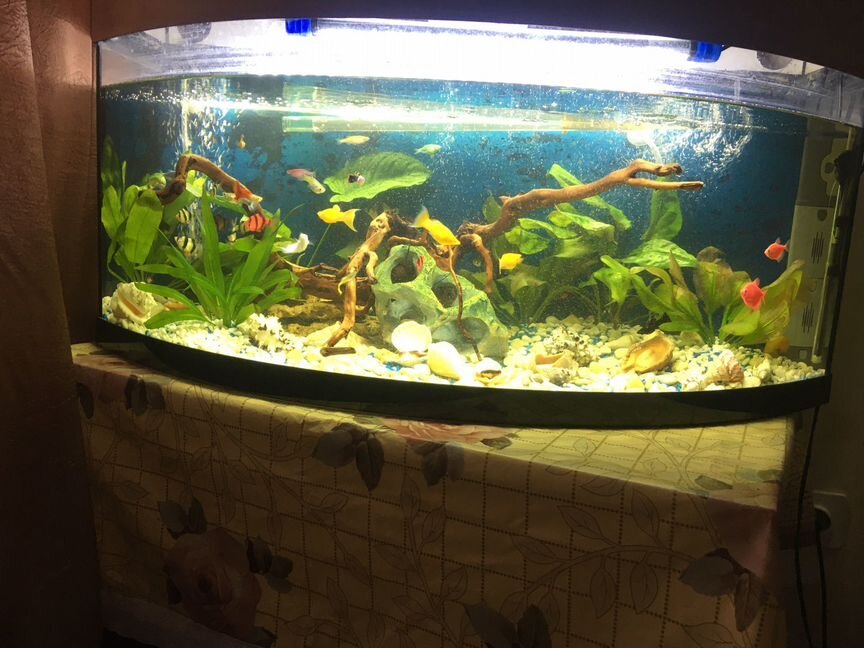Аквариум