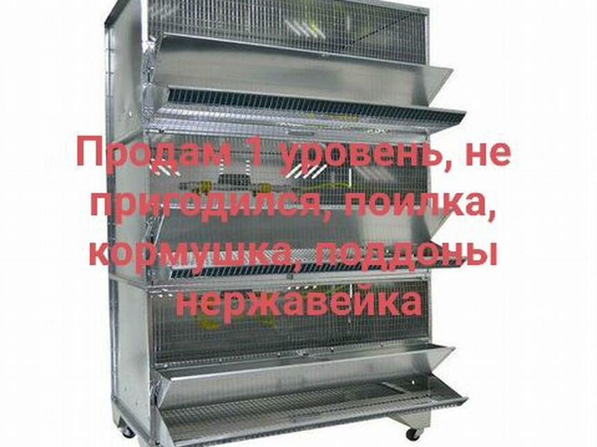 Клетки для кур несушек