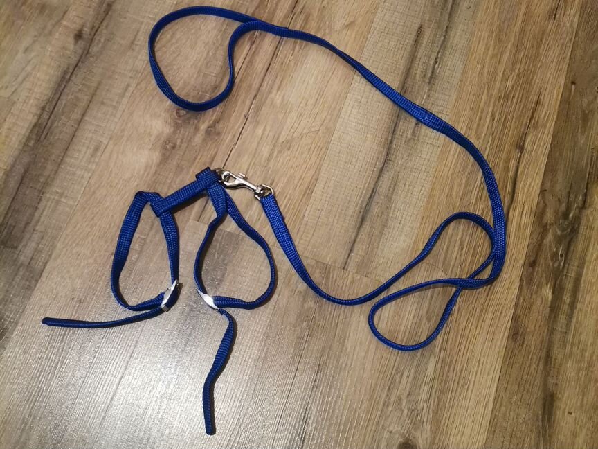 Шлейка для кошки