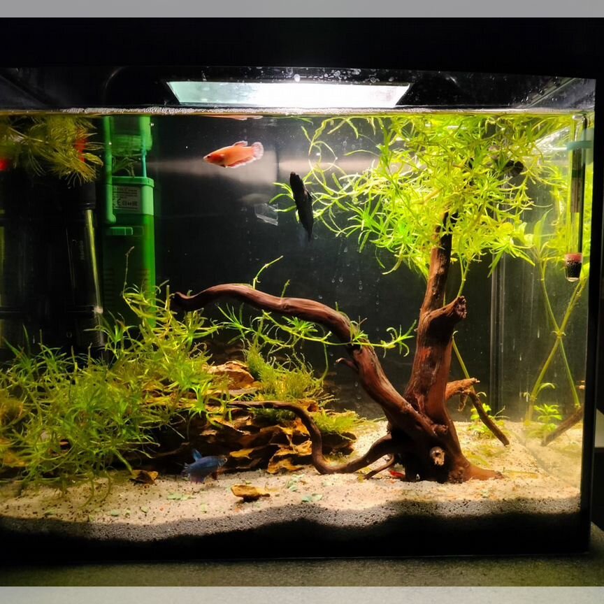 Аквариум с рыбками 30л