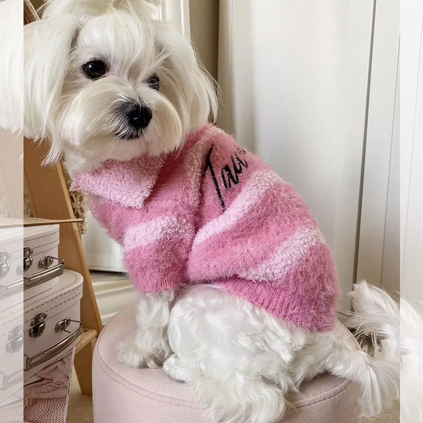 Свитер одежда для собак мелких пород