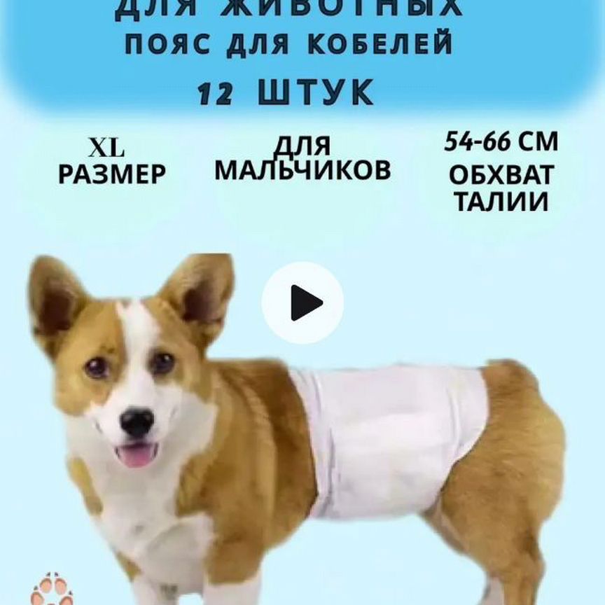 Подгузники для кобелей