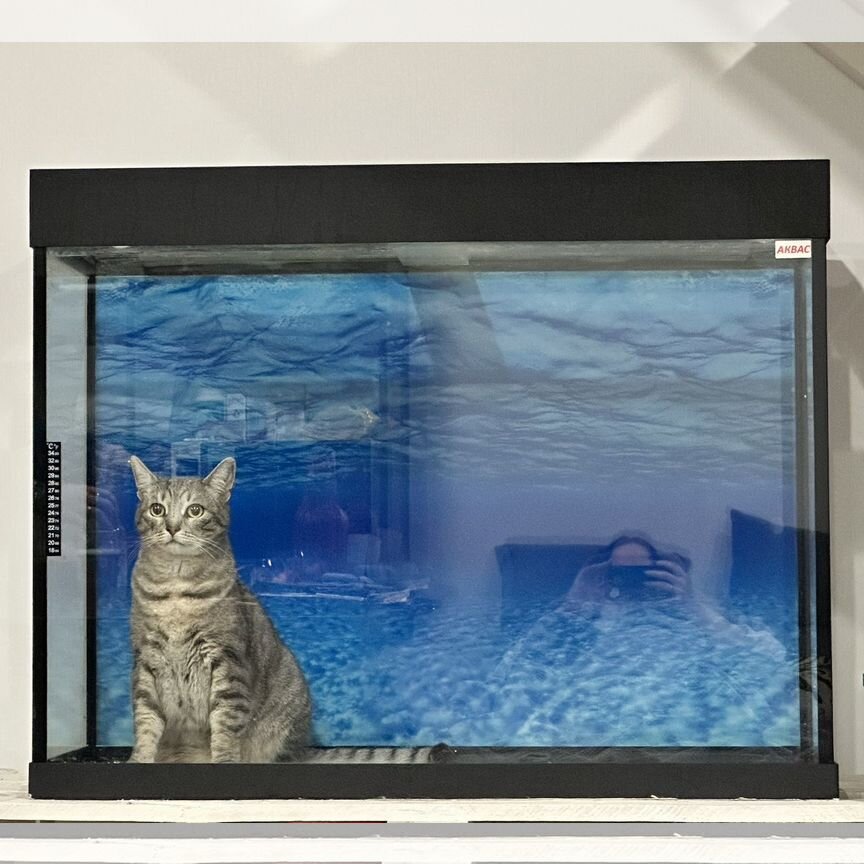 Аквариум 200 литров