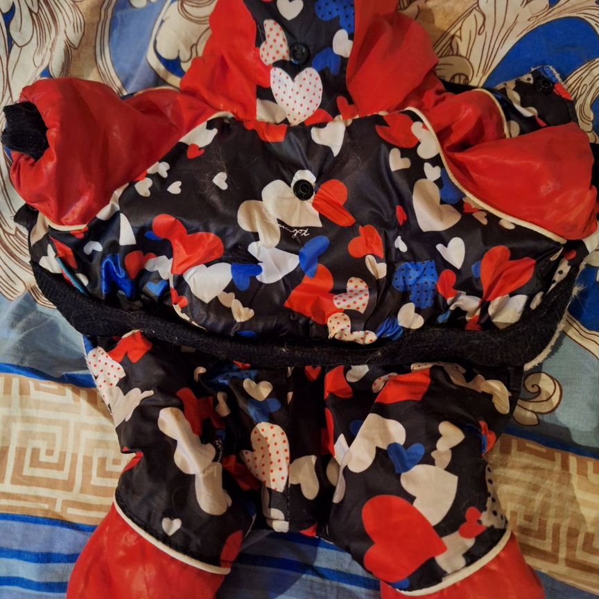 Одежда для собак