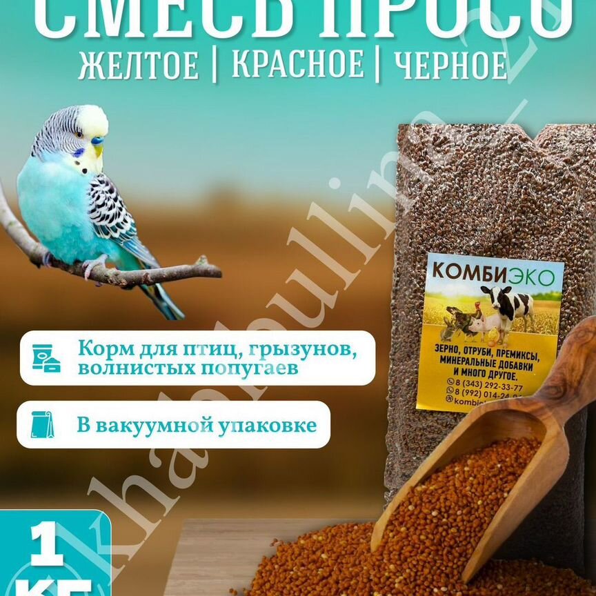 Просо для птиц, попугаев 1 кг