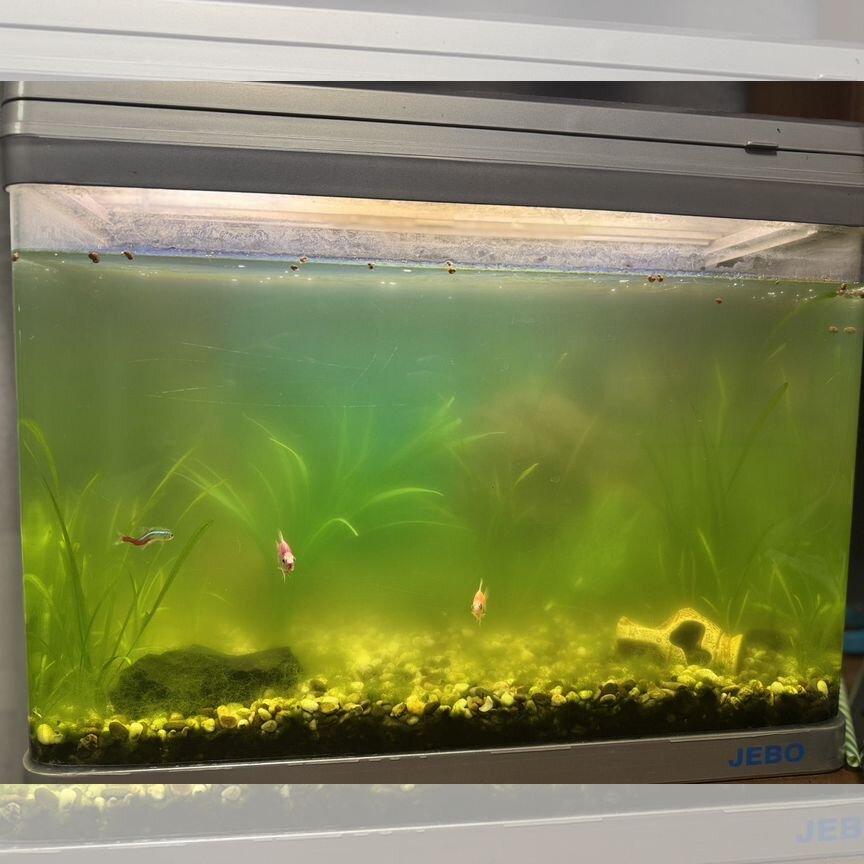 Аквариум 47 литров