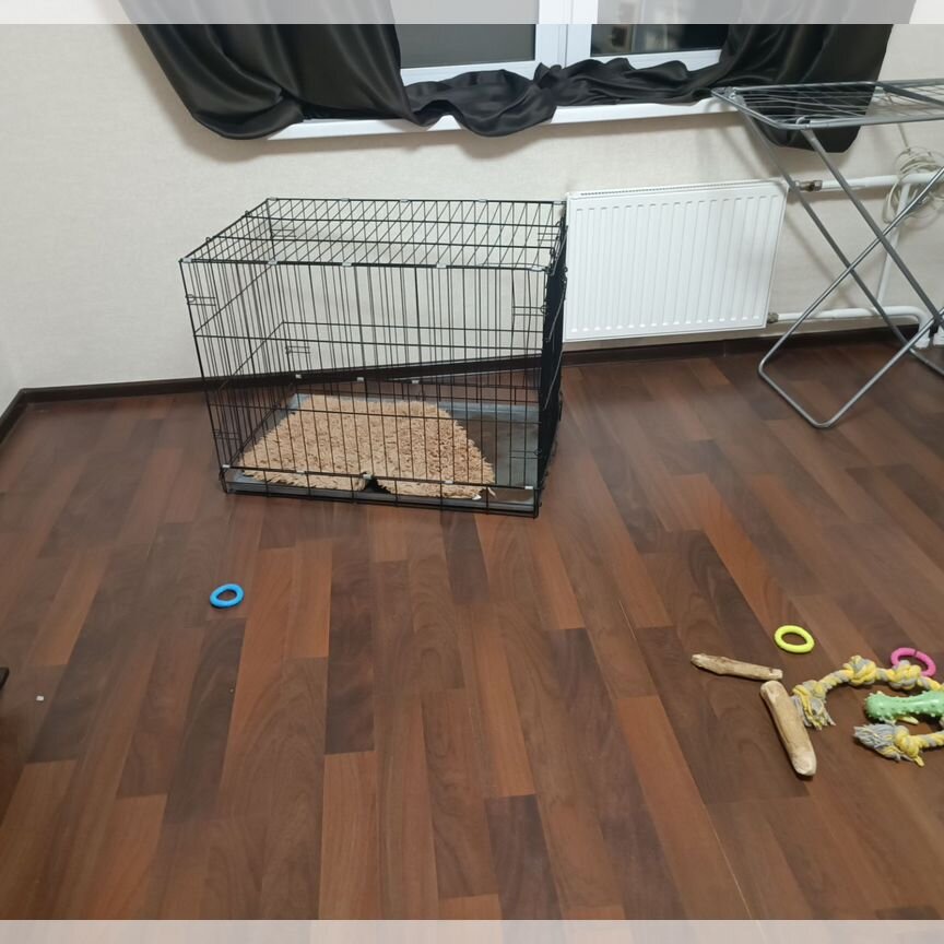 Клетка для средней собаки в квартиру
