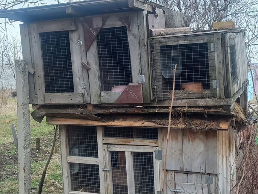 Добротные клетки для кроликов