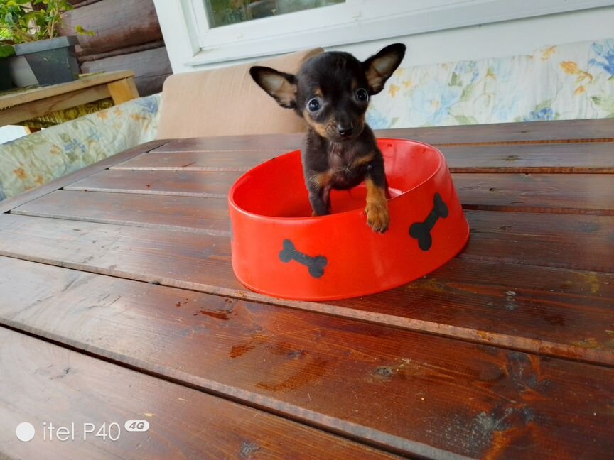 Черный Бумер