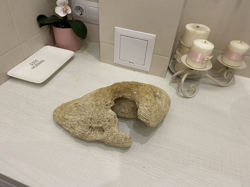 Коралл натруальный
