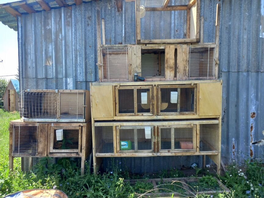 Кроличьи клетки