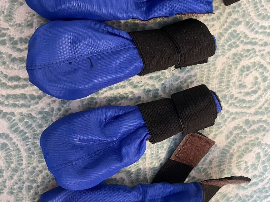 Тапочки для собаки