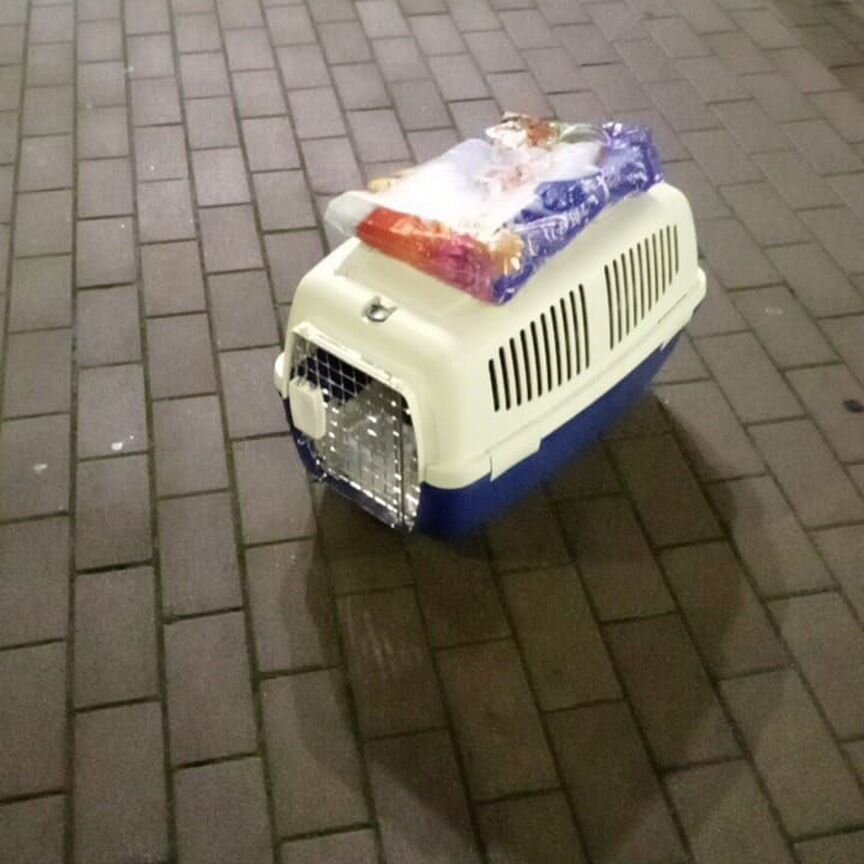 Переноска