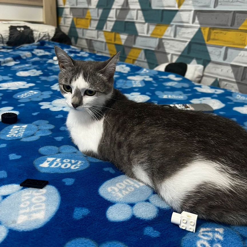 Прекрасная девочка 1 годик ищет семью