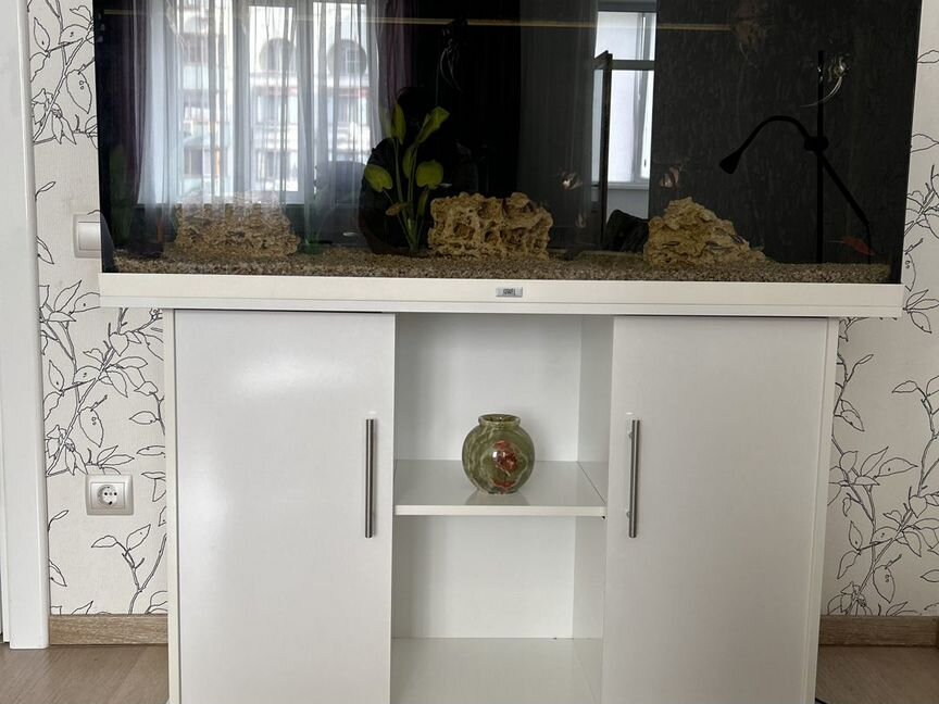 Отдам бесплатно в дар