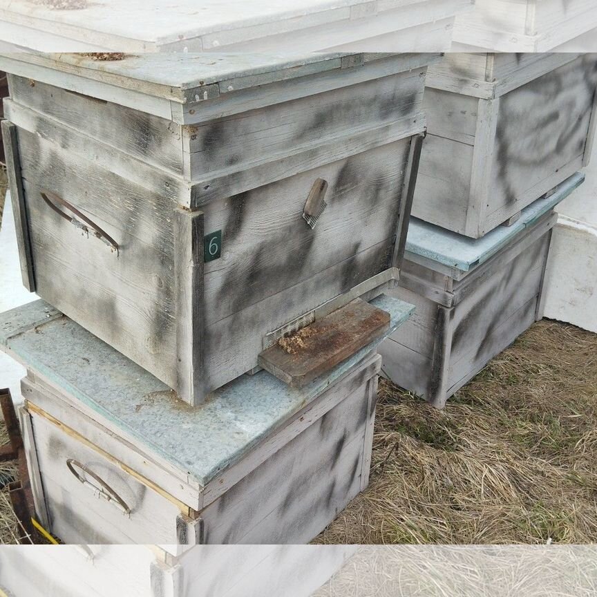 Бронь Ульи для пчел бу