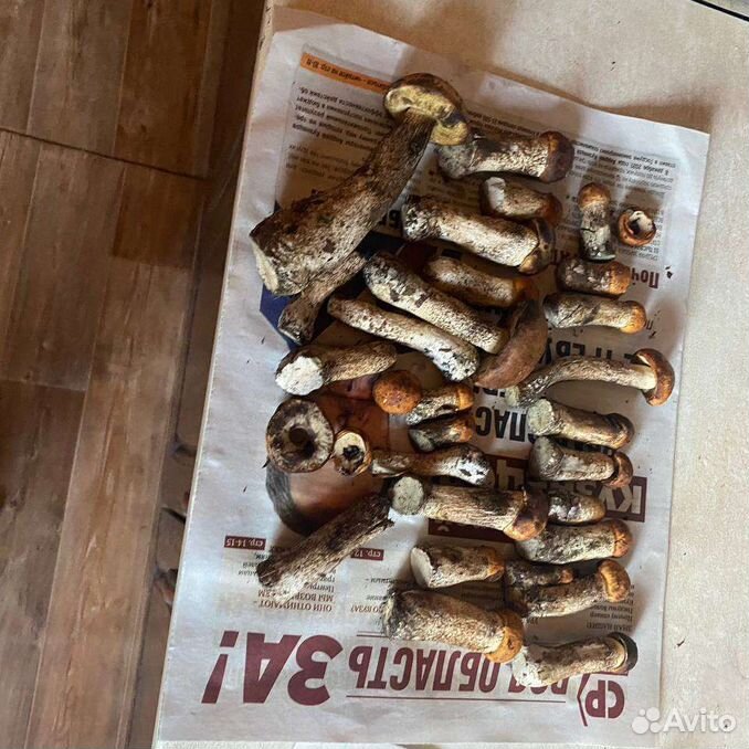 Красноголовики