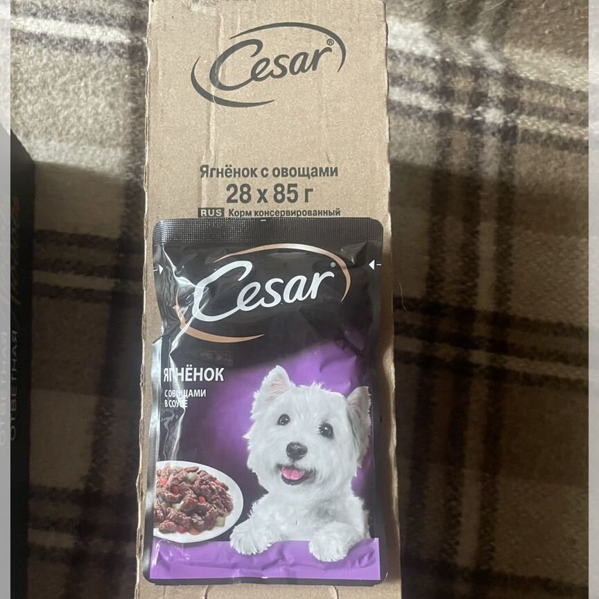 Корм для собакCesar